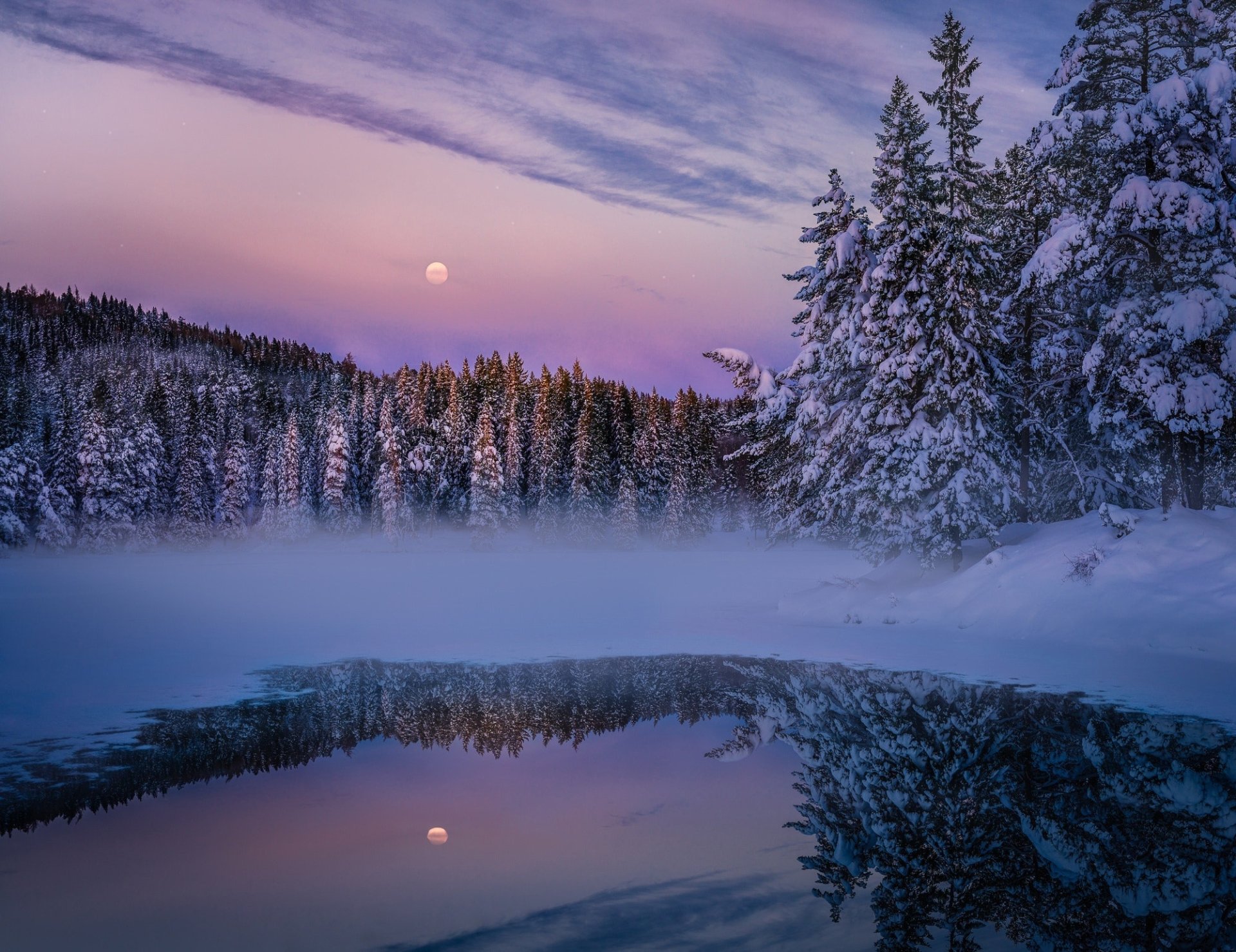 Winter’s Misty Mirror: Snowy Forest Lake at Twilight – HD Nature Wallpaper