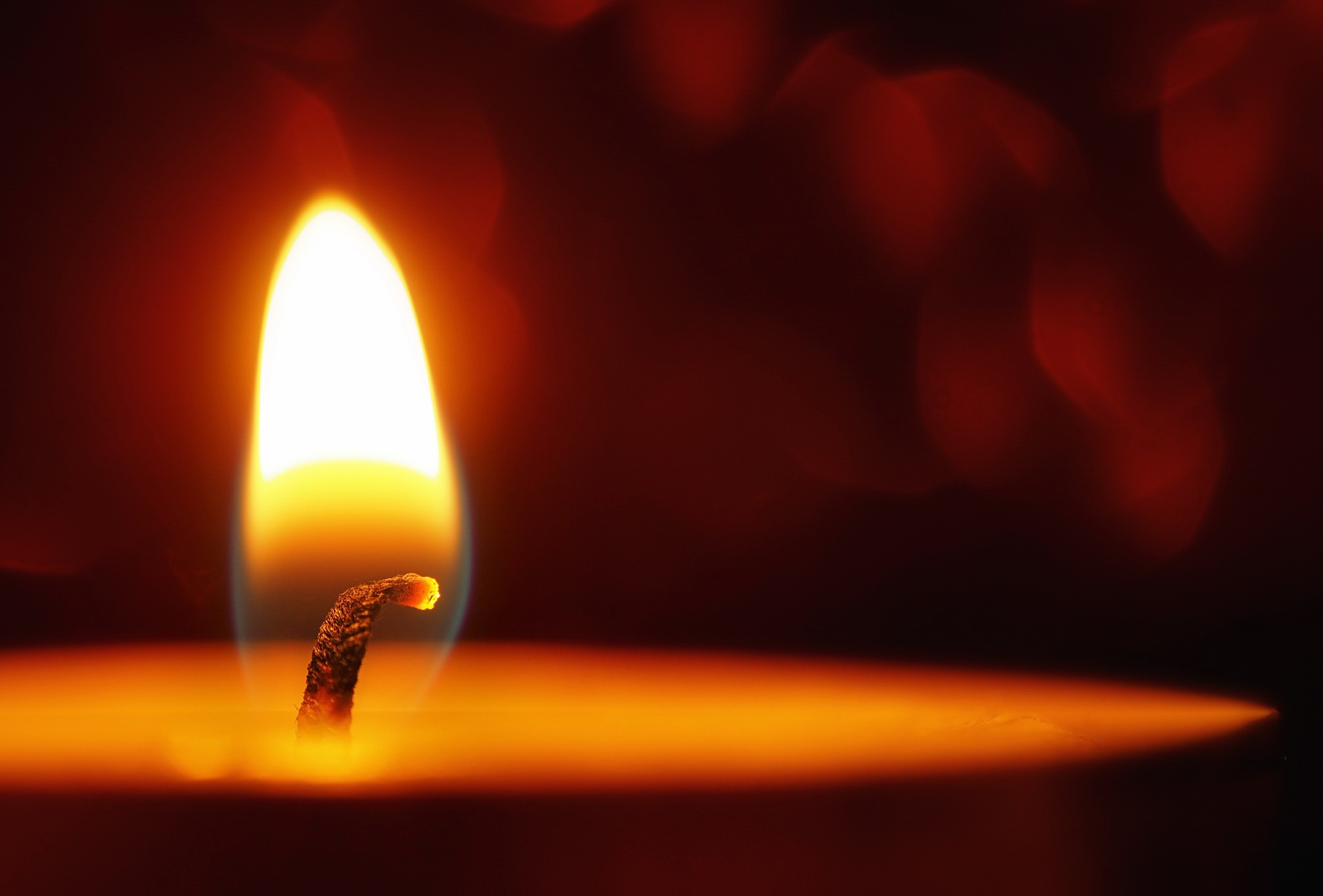 HD Macro Candle Flame – A Warm Glow in Every Detail