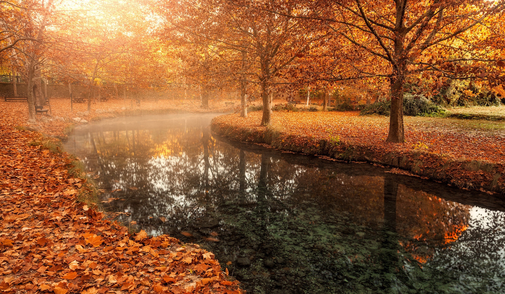 Golden Fall River in a Serene Park - HD Nature Wallpaper