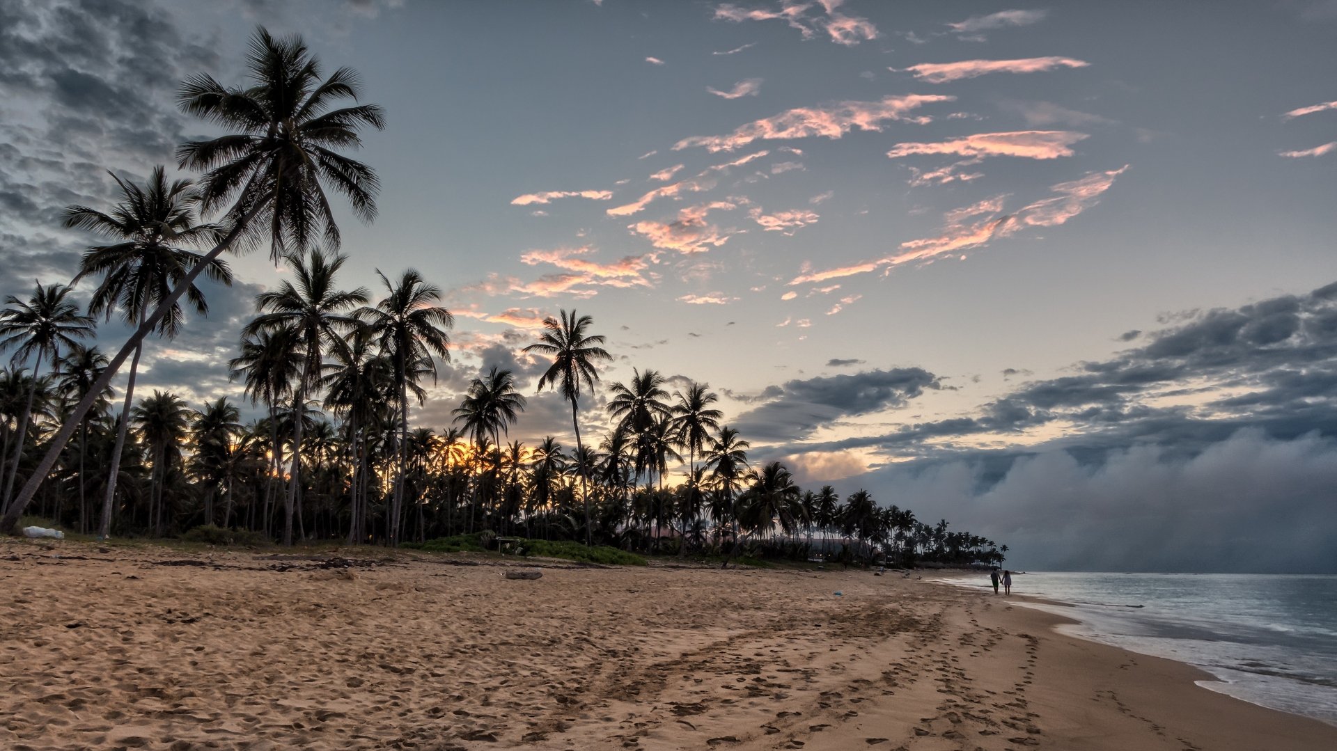 Download Sunset Sea Ocean Palm Tree Tropical Earth Photography Beach HD ...