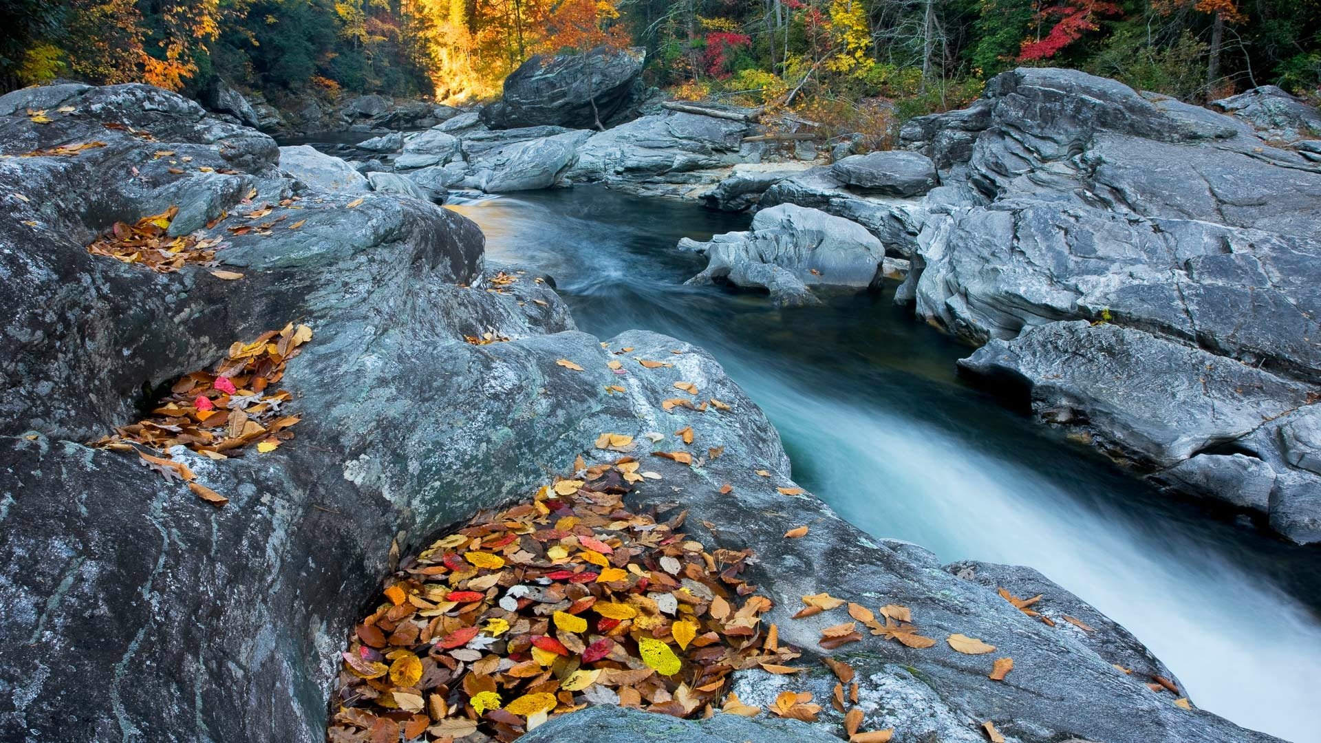 Serene Fall Stream Through Rocky Forest – HD Nature Wallpaper