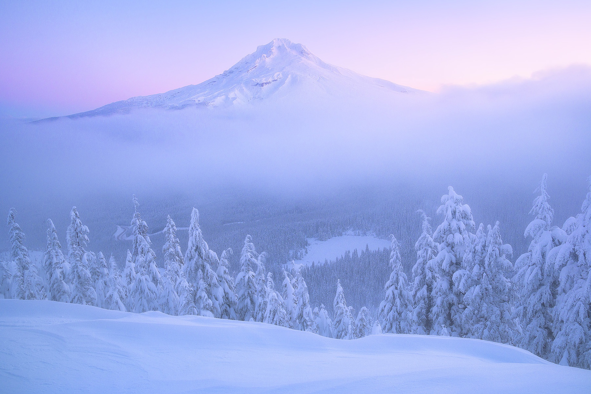 Download Fog Mountain Tree Landscape Snow Nature Winter Snowy Mountain ...