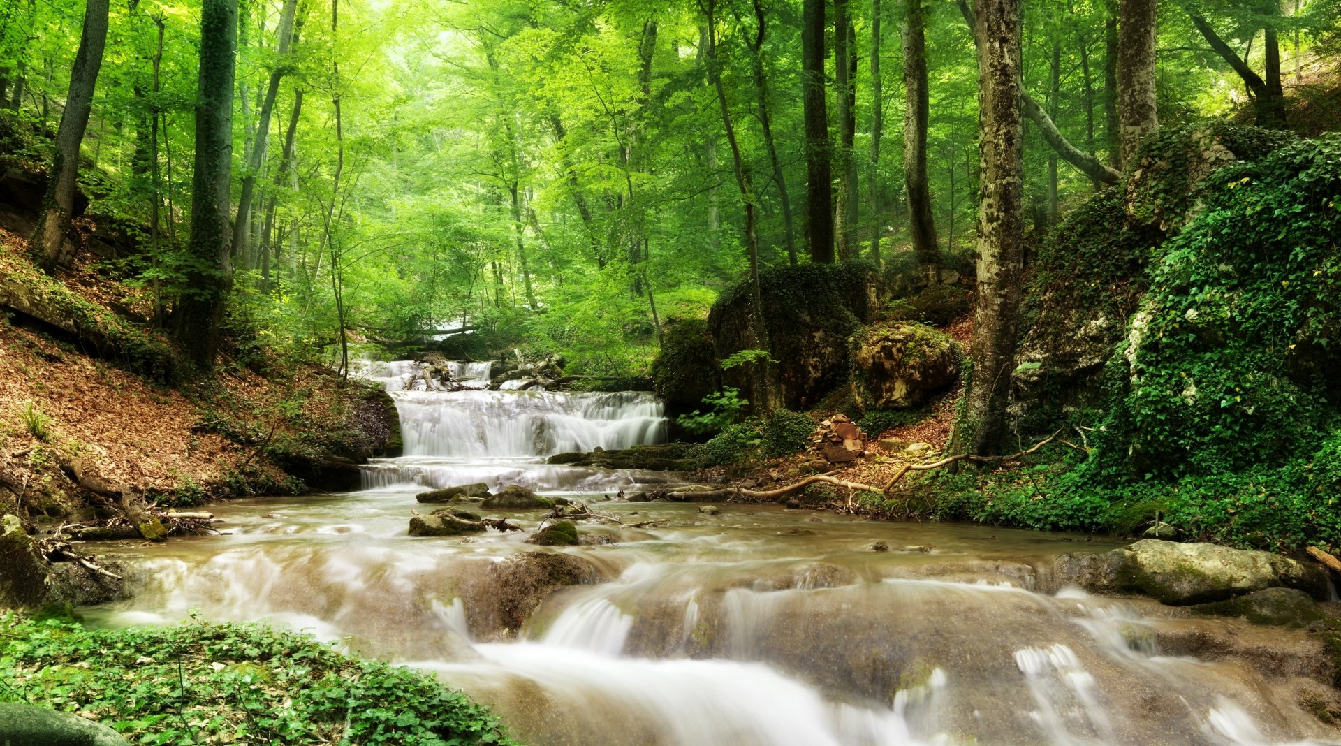 Download Greenery Forest Nature Stream 4k Ultra HD Wallpaper