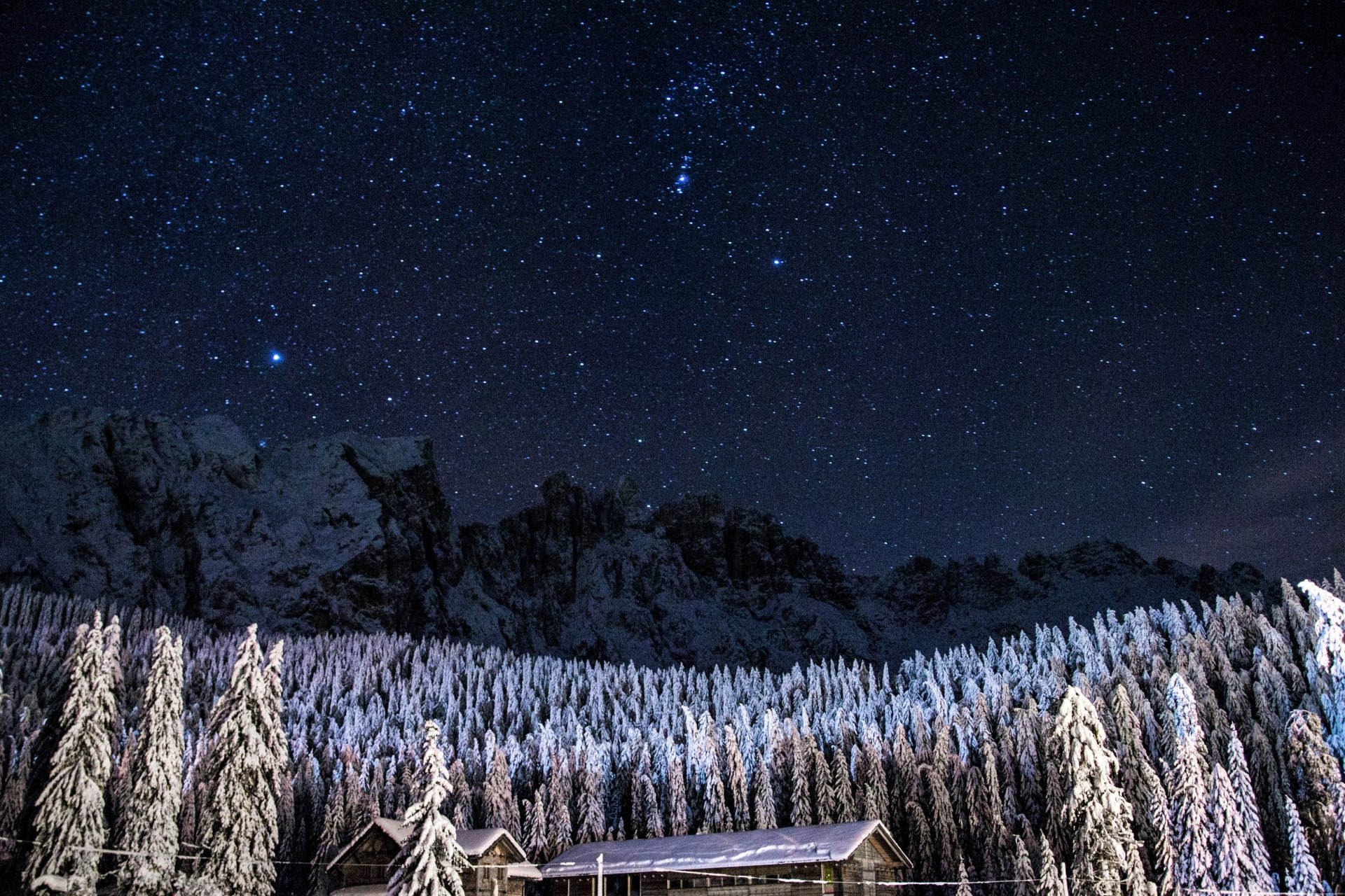 Download Star Snow Tree Forest Starry Sky Sky Night Earth Photography ...