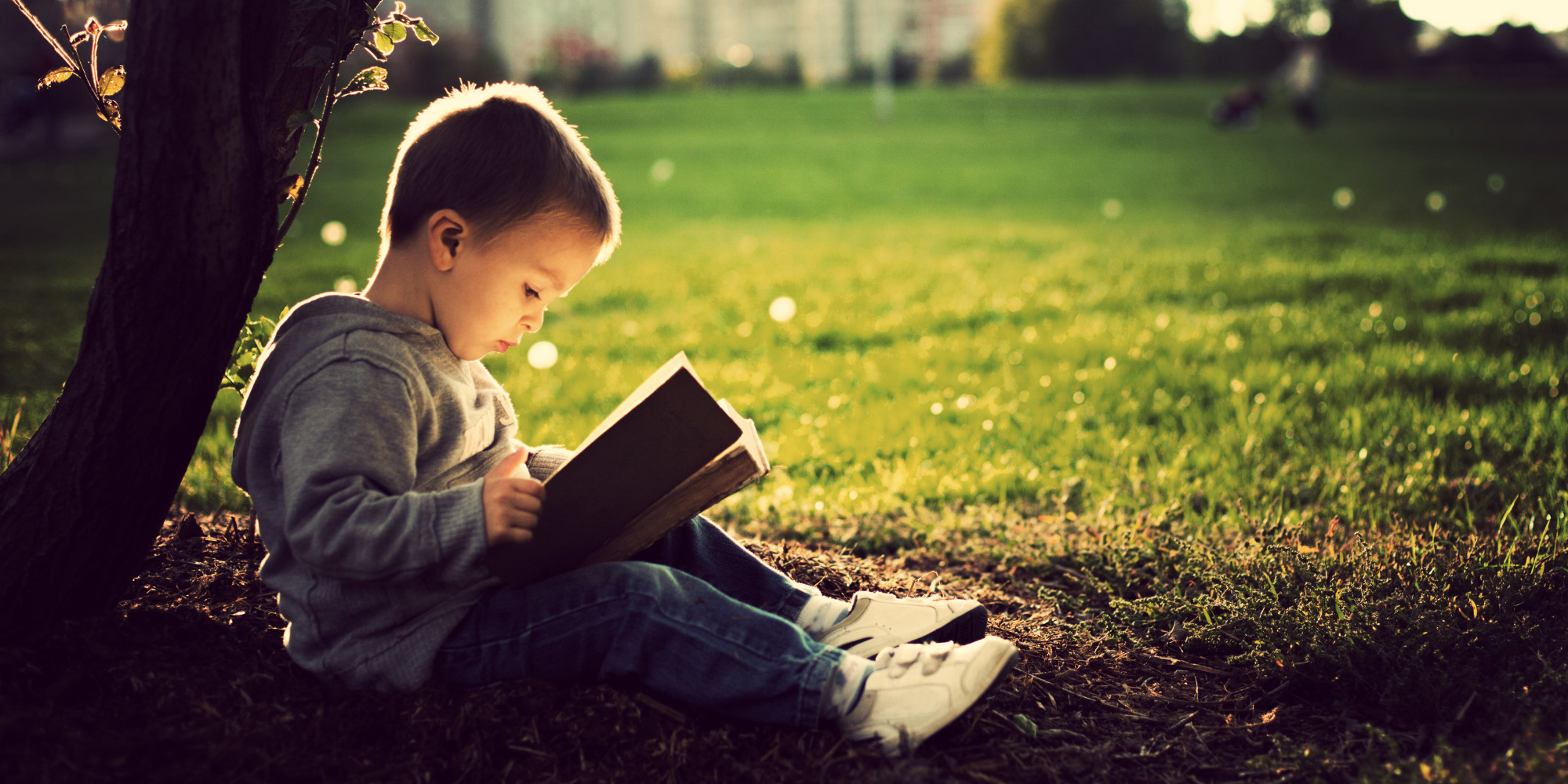 Child Engrossed In Reading Peaceful Outdoor Study Wallpaper