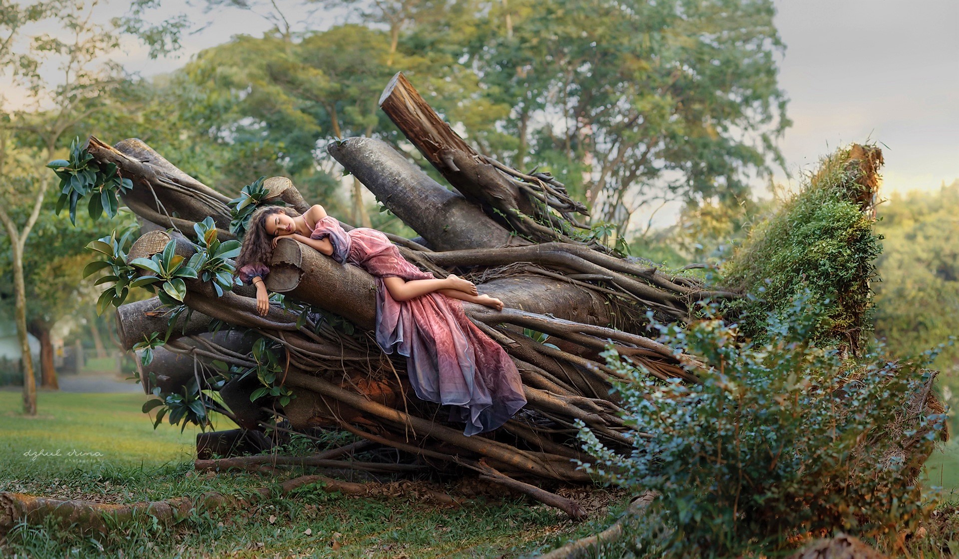 Download Log Tree Sleeping Woman Mood HD Wallpaper by Irina Dzhul