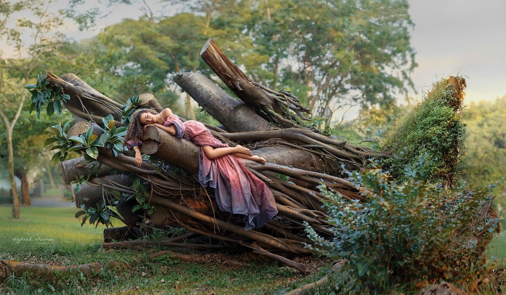 Dreaming Among Fallen Giants: A Serene Moment in Nature's Embrace by ...