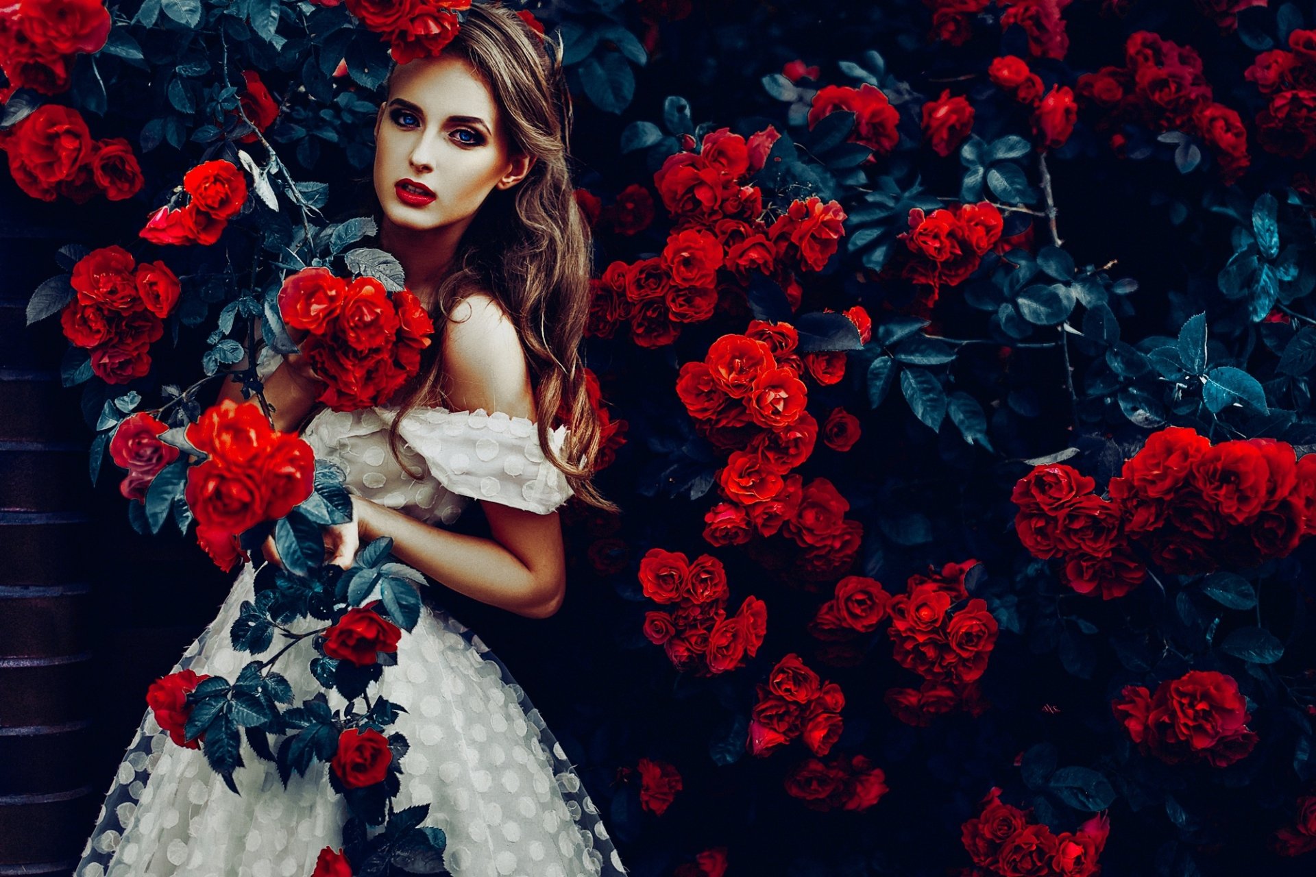 Download Red Rose Red Flower Rose Flower White Dress Blue Eyes Long ...