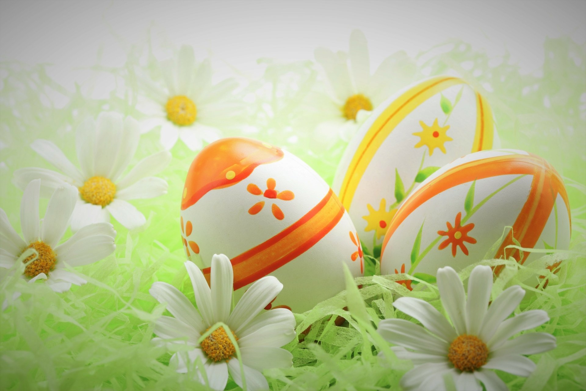 Download White Flower Daisy Easter Egg Holiday Easter 4k Ultra HD Wallpaper