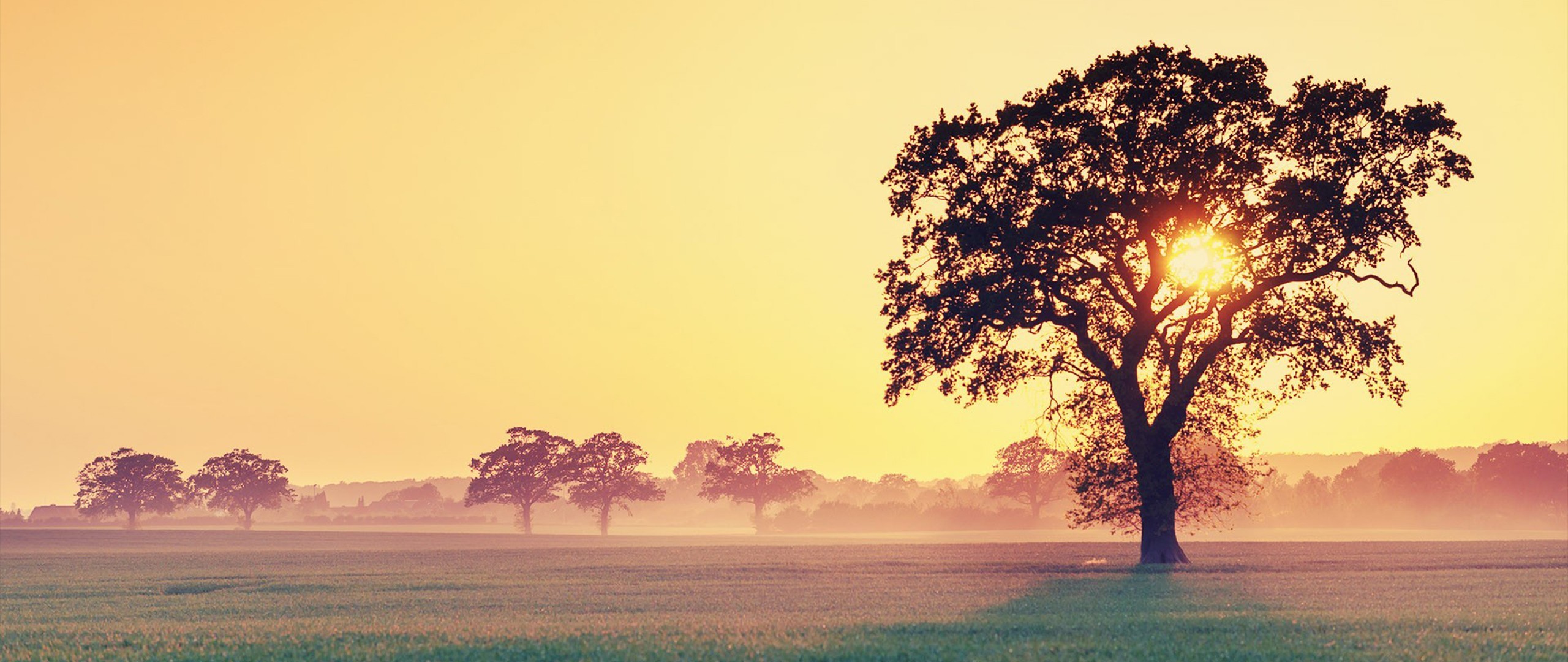 Sunset Serenity - HD Nature Wallpaper