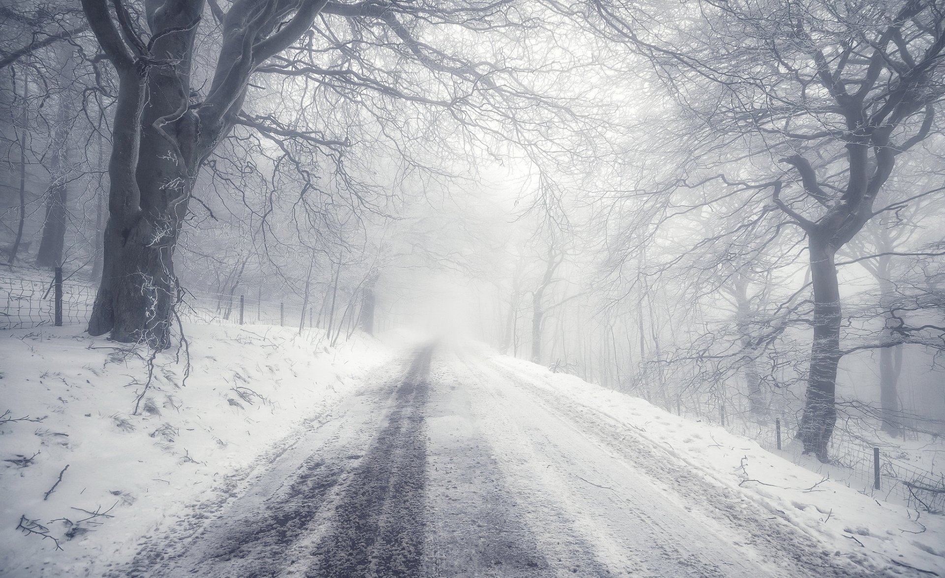 Winter Road Through Foggy Snow-Covered Trees | HD Nature Wallpaper