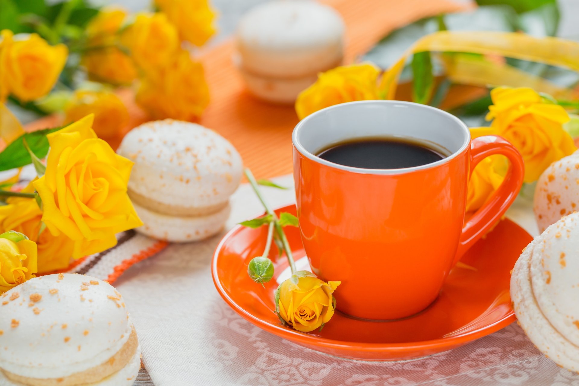 Sunlit Yellow Roses & Coffee — 5K Macaron Still Life | 5760x3840 ...