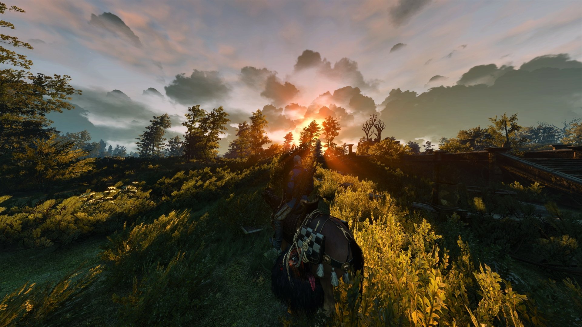 Download Geralt Of Rivia Video Game The Witcher 3: Wild Hunt 8k Ultra ...