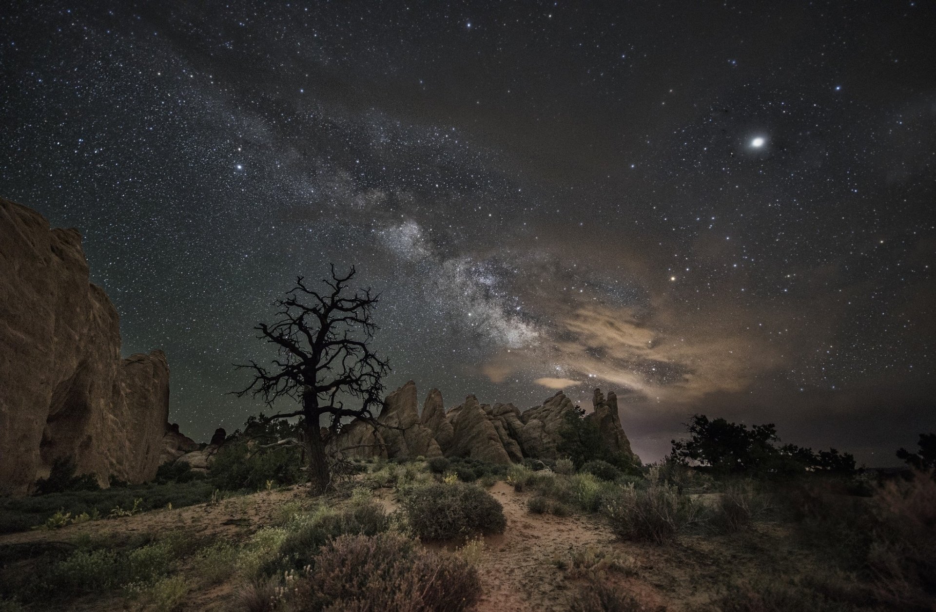 Starlit Wilderness — HD Night Wallpaper | 2048x1340 | Wallpaper Abyss