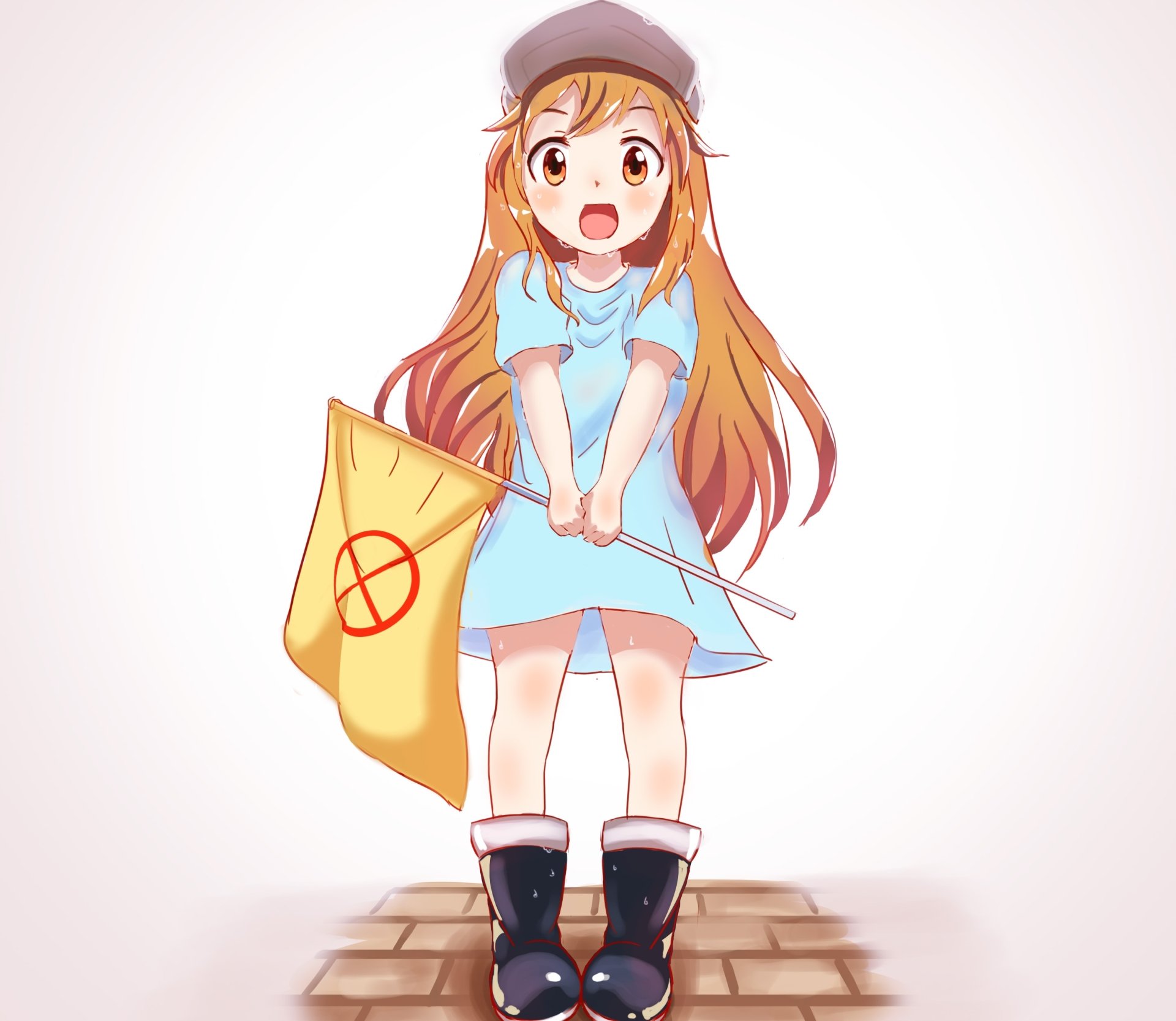Cells at Work! HD Wallpaper by kyuno project