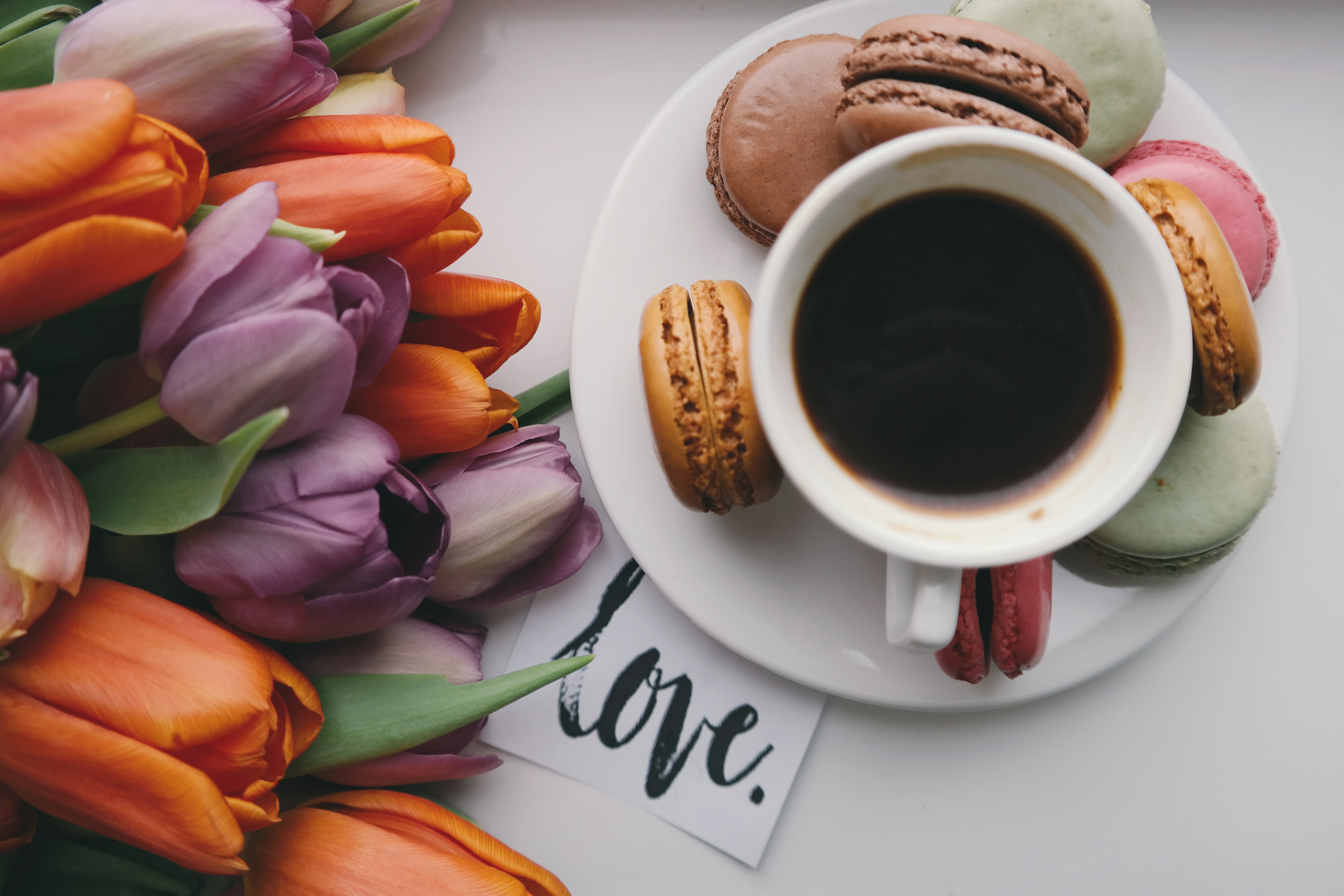 Download Macaron Tulip Flower Cup Food Coffee 4k Ultra HD Wallpaper