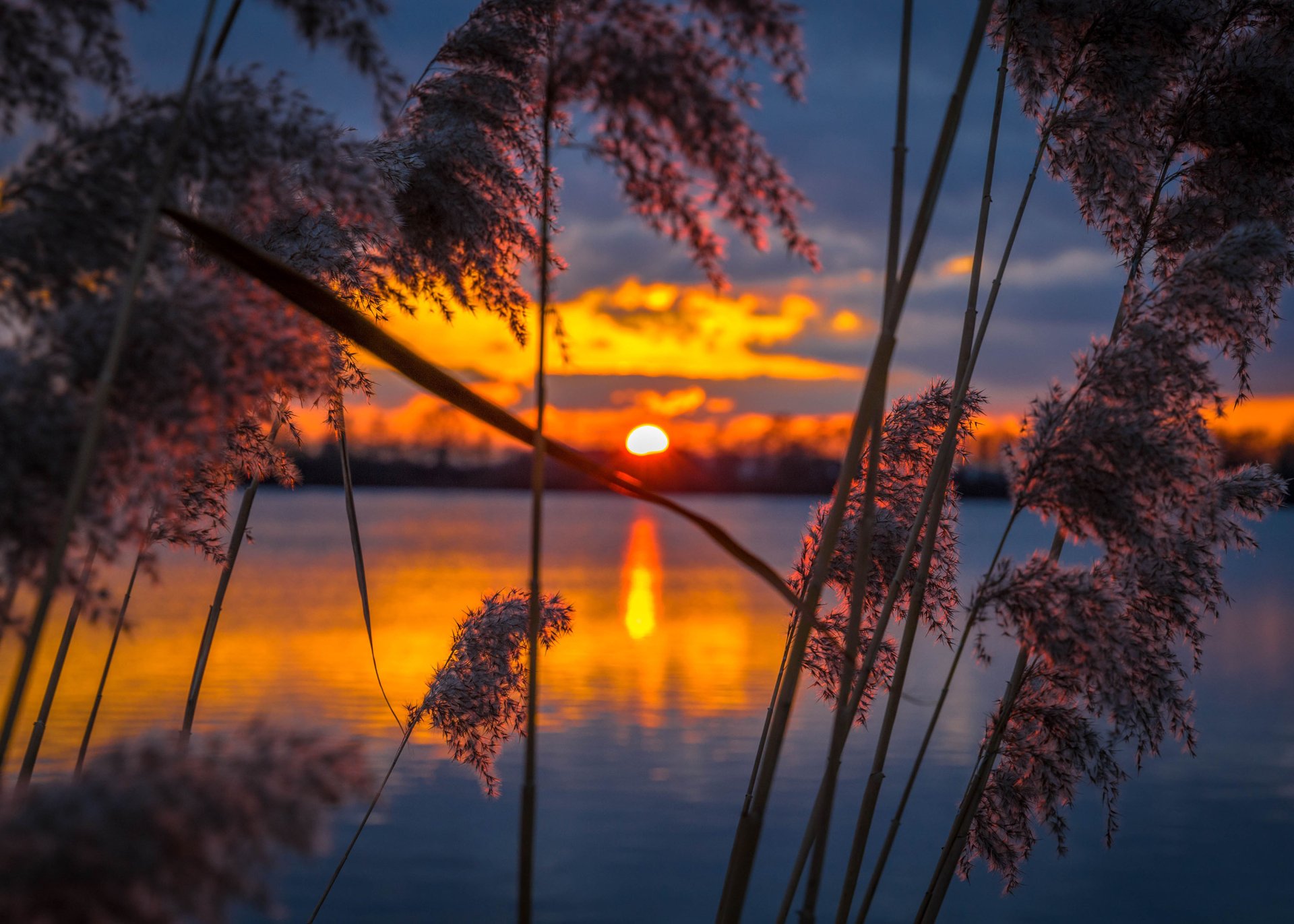 HD Nature Sunset Serenity: Golden Glow Over Tranquil Waters