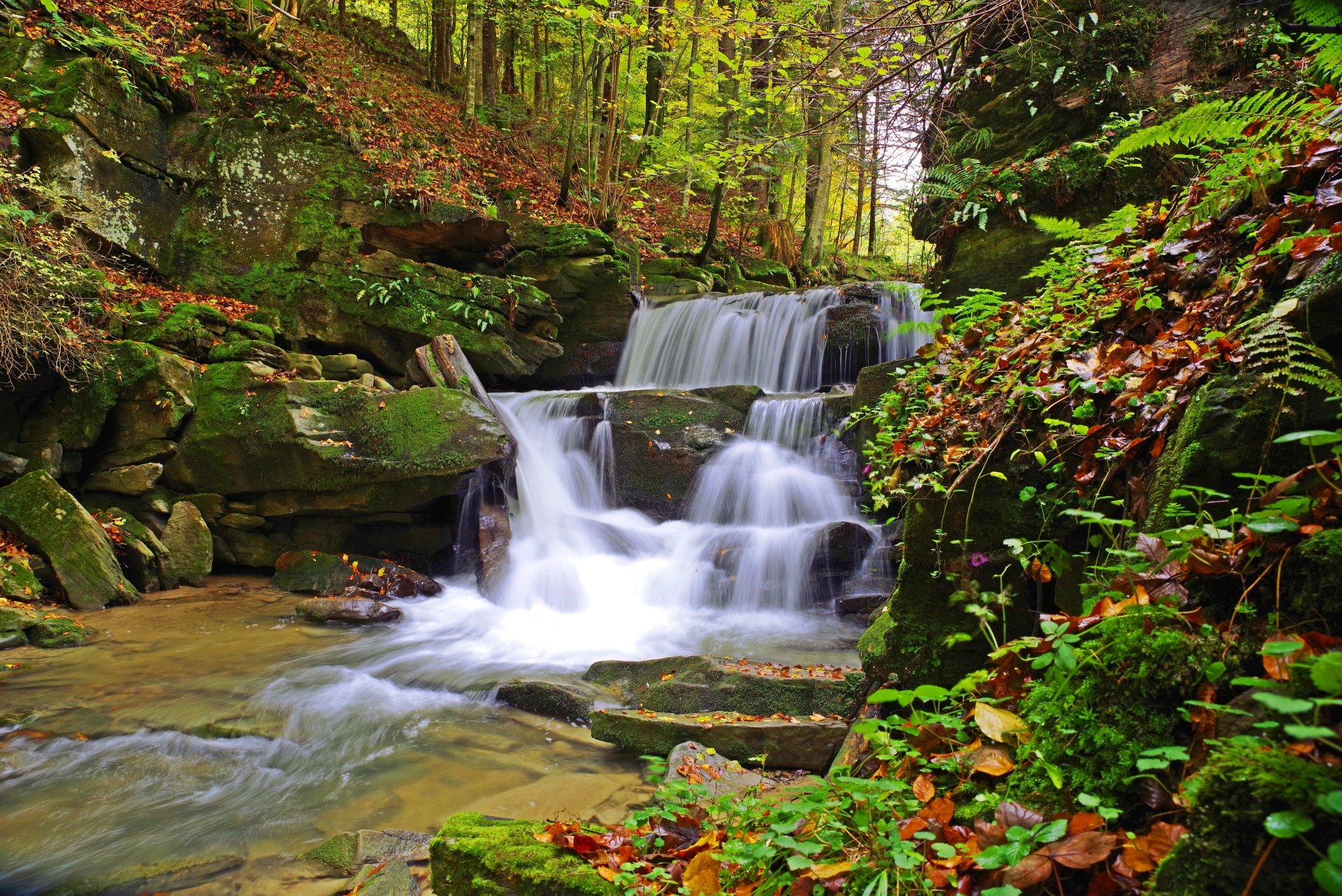 Download Nature Stream 4k Ultra HD Wallpaper