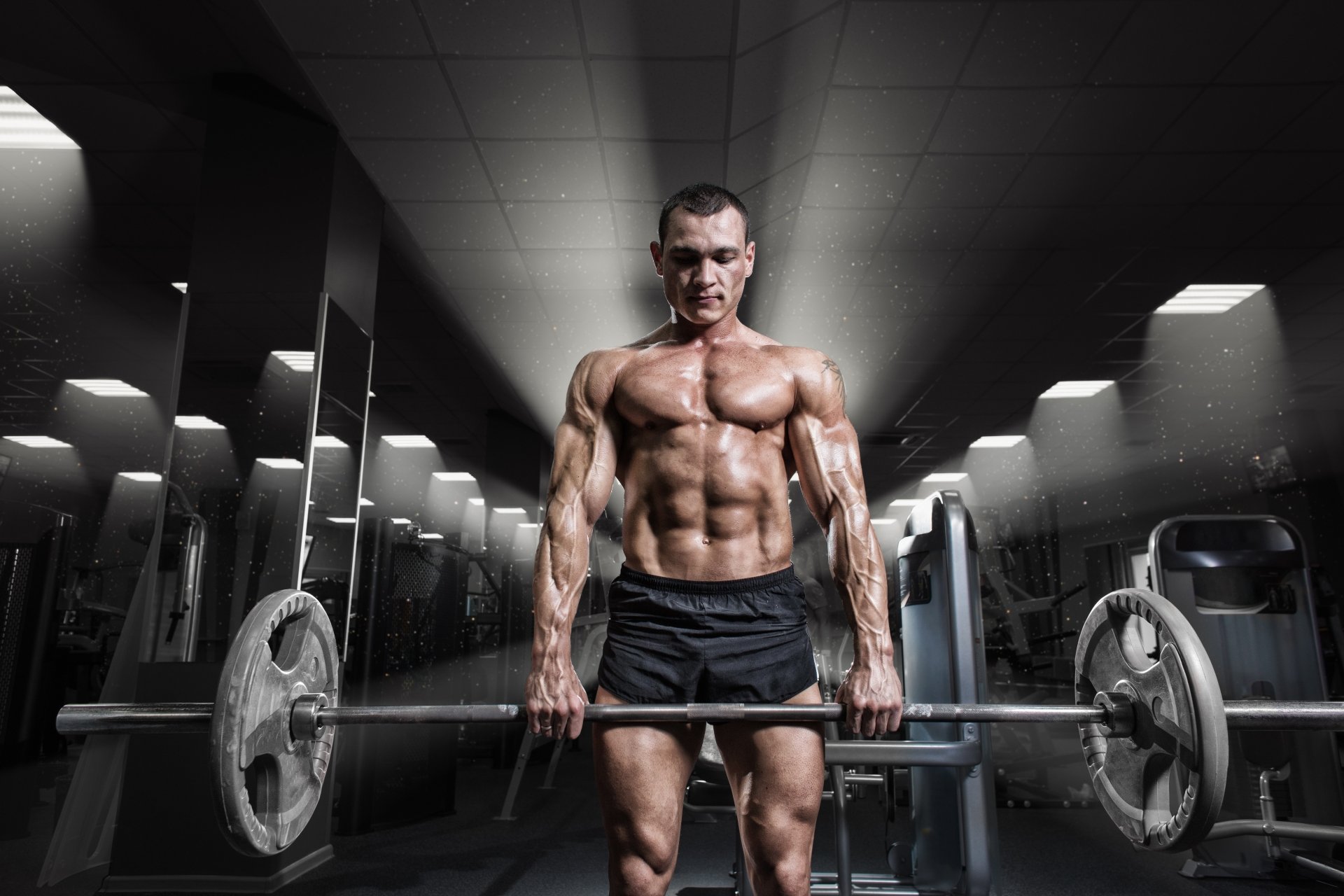 Download Muscle Weightlifting Sports 4k Ultra HD Wallpaper