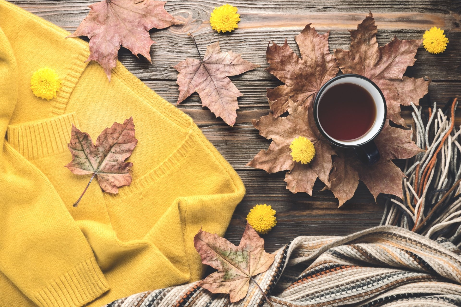 Golden Tea & Fallen Leaves — 4K Ultra HD Still Life Wallpaper ...