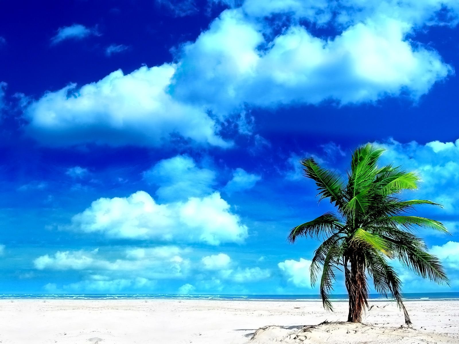 Download Cloud Tropical Palm Tree Nature Beach Wallpaper